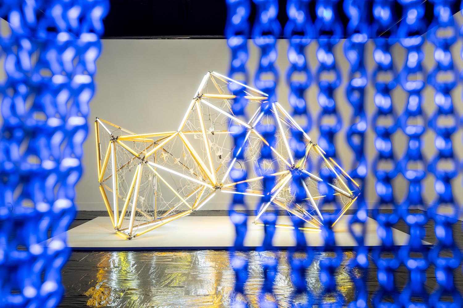 La línea sueña y brilla en el Madrid Design Festival 2025